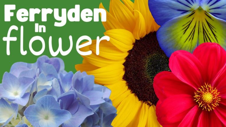 Ferryden in Flower Inaugral Meeting - FerrydenCCC